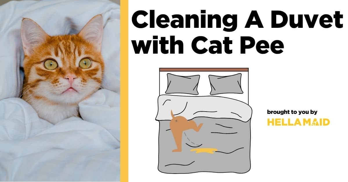How to Clean Duvet with Cat Pee?